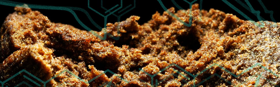 Pollen Shark | Your #1 Swiss premium CBD hash wholesaler