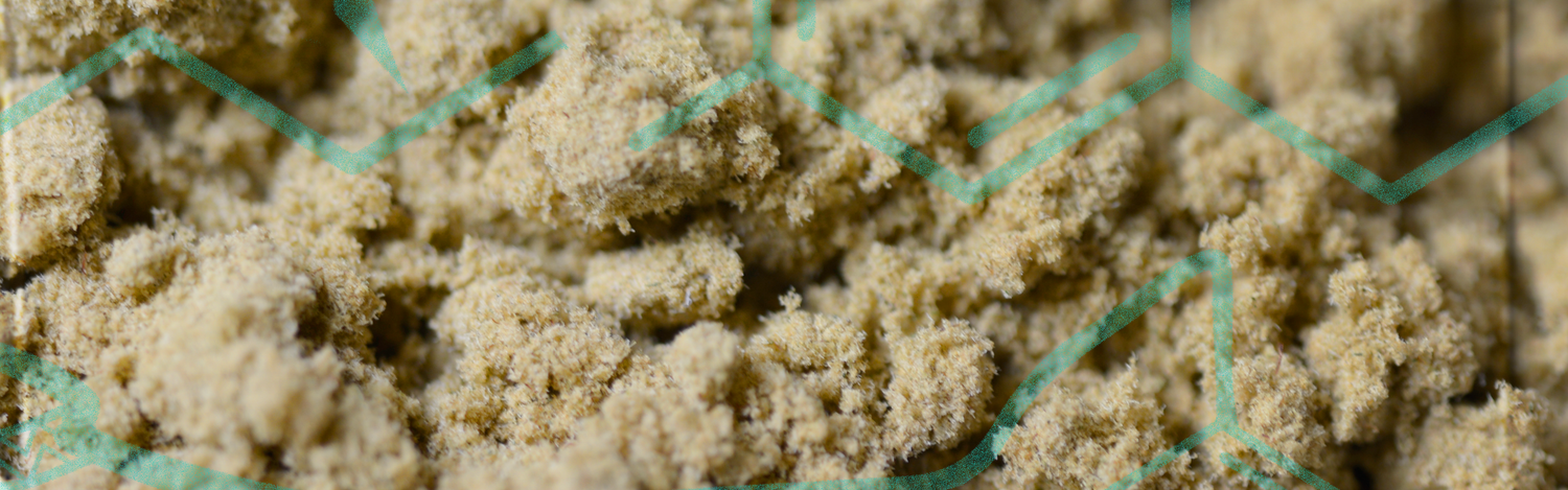 Pollen Shark | Your #1 Swiss premium CBD hash wholesaler
