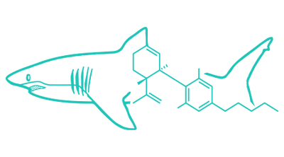 Pollen Shark | Your #1 Swiss premium CBD hash wholesaler